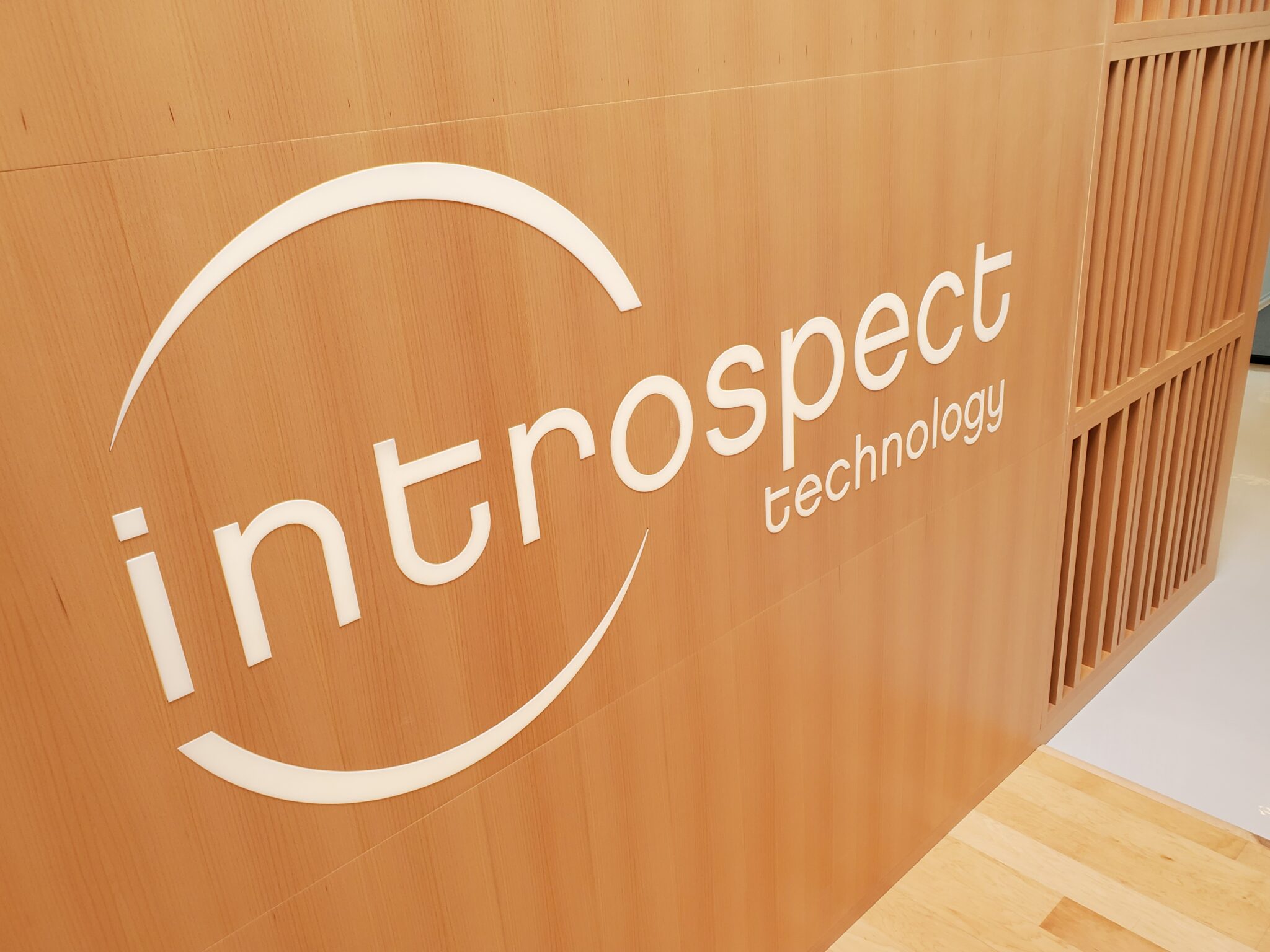 Introspect Technology Reaffirms Commitment to the Semiconductor and ...