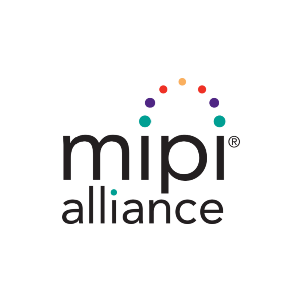 D-PHY Receiver | Introspect Technology